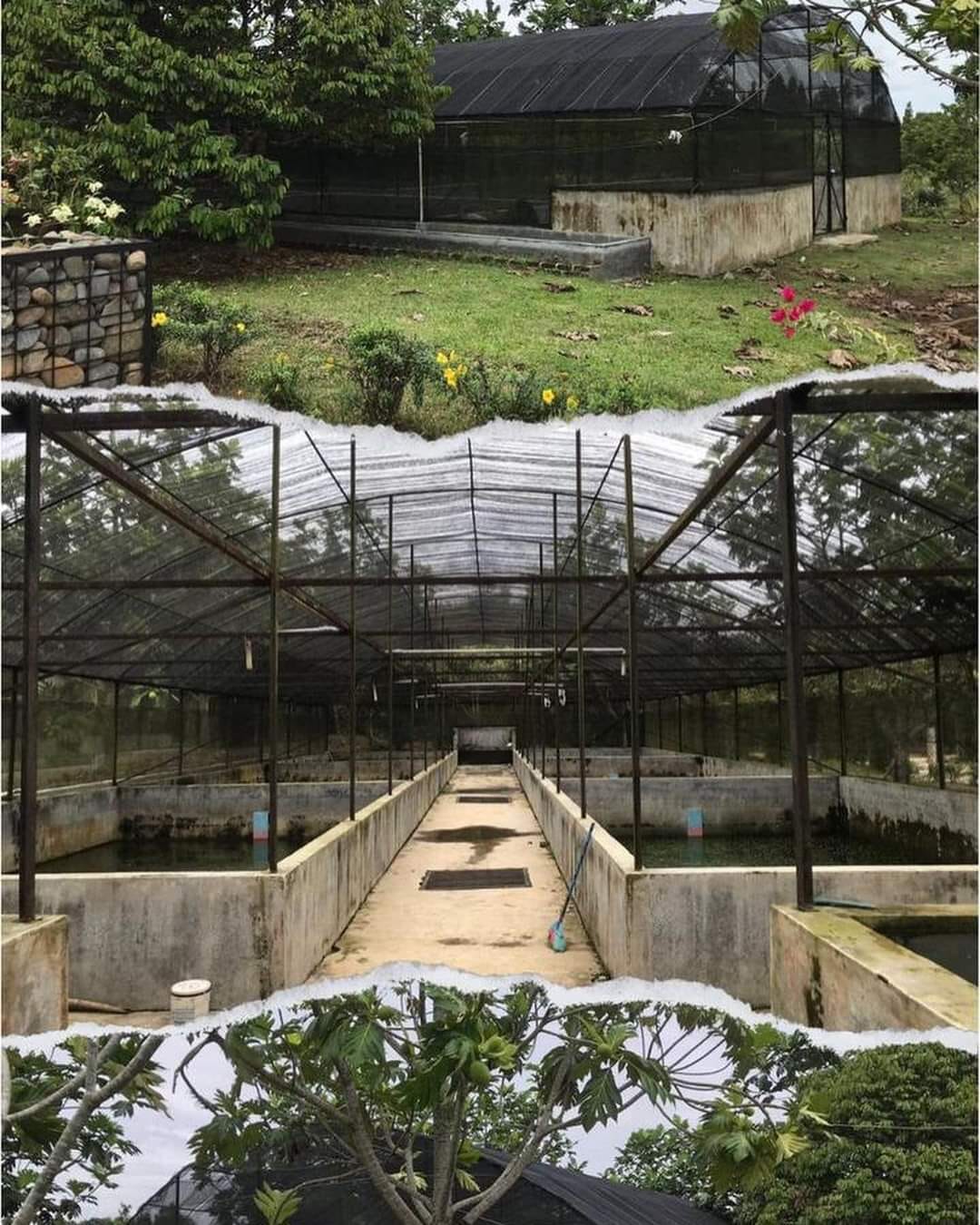 Wisata Baru Di Sergai “Kwala Bali Farm” – Mediacenter